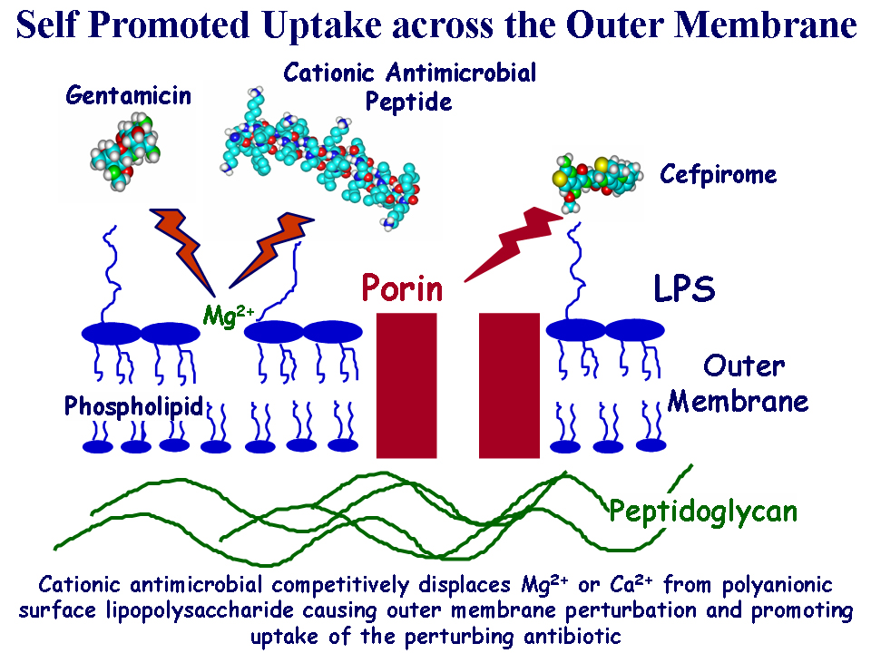 CONTROL OF MOS BY ANTIBIOTICS...