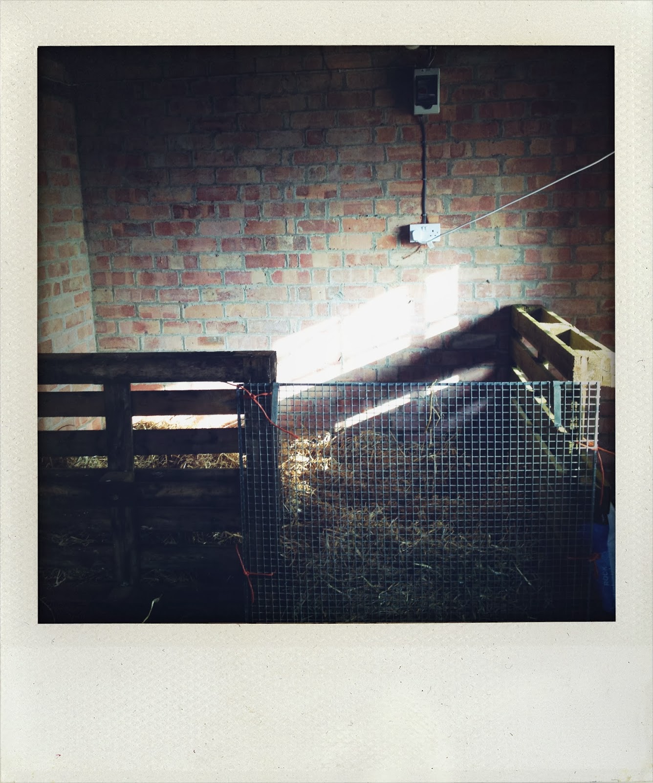 Crafting A Beautiful Life: Saying Goodbye to Johnny