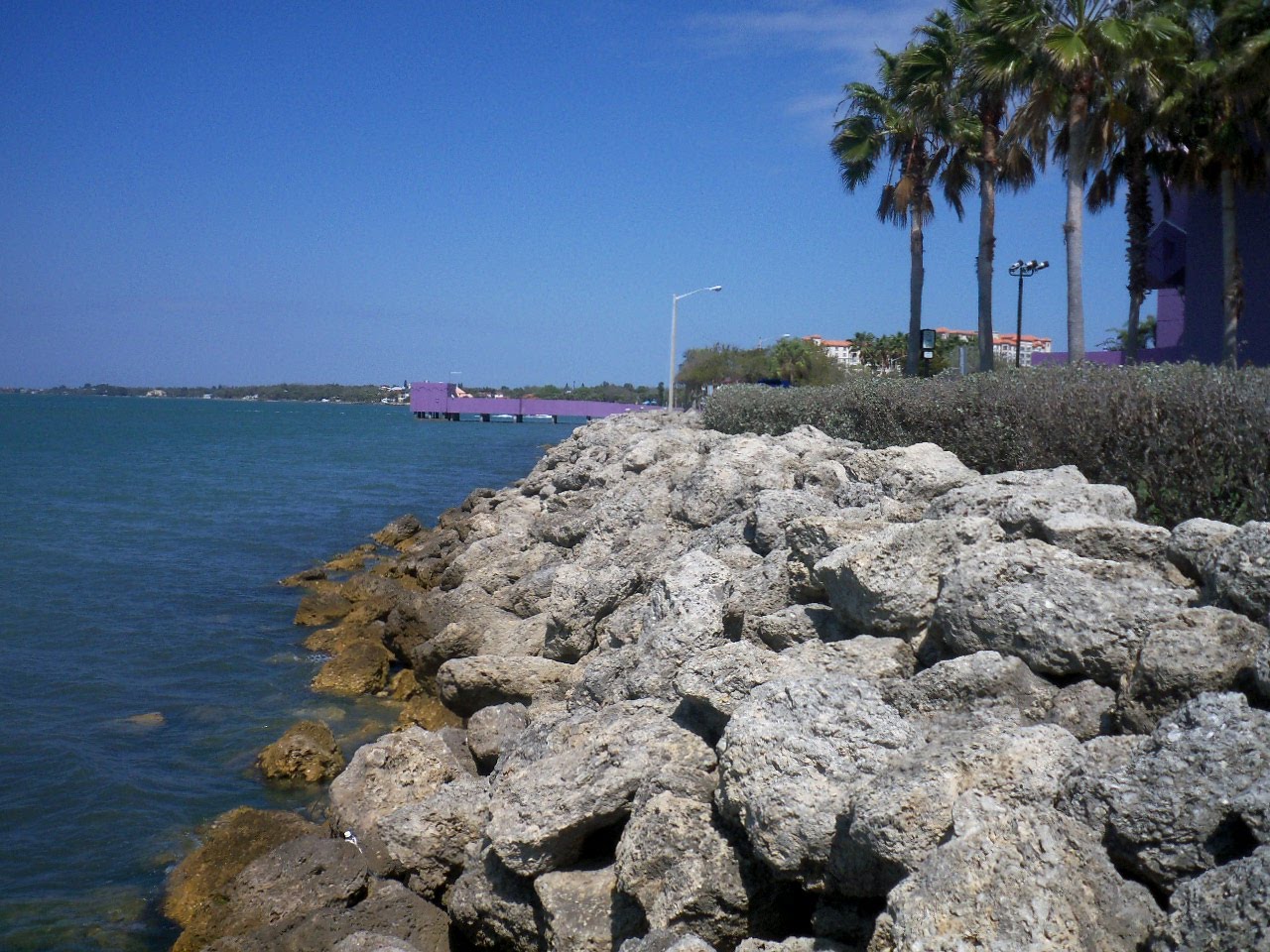 Southwest Florida Shoreline Studies: Van Wezel Shoreline on Sarasota Bay