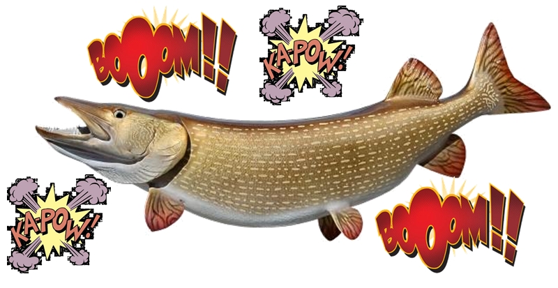 The Fisheries Blog: Eliminating an Invasive Predator: Lessons From Lake ...