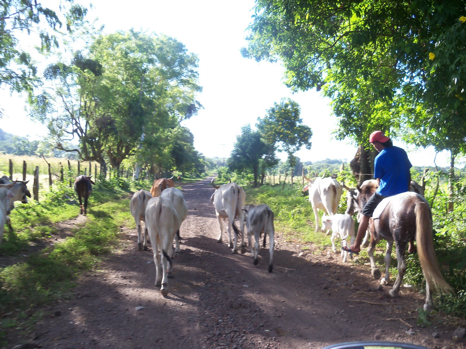 Grady and Lauren on a shoestring: Nicaragua for their famous Turkey