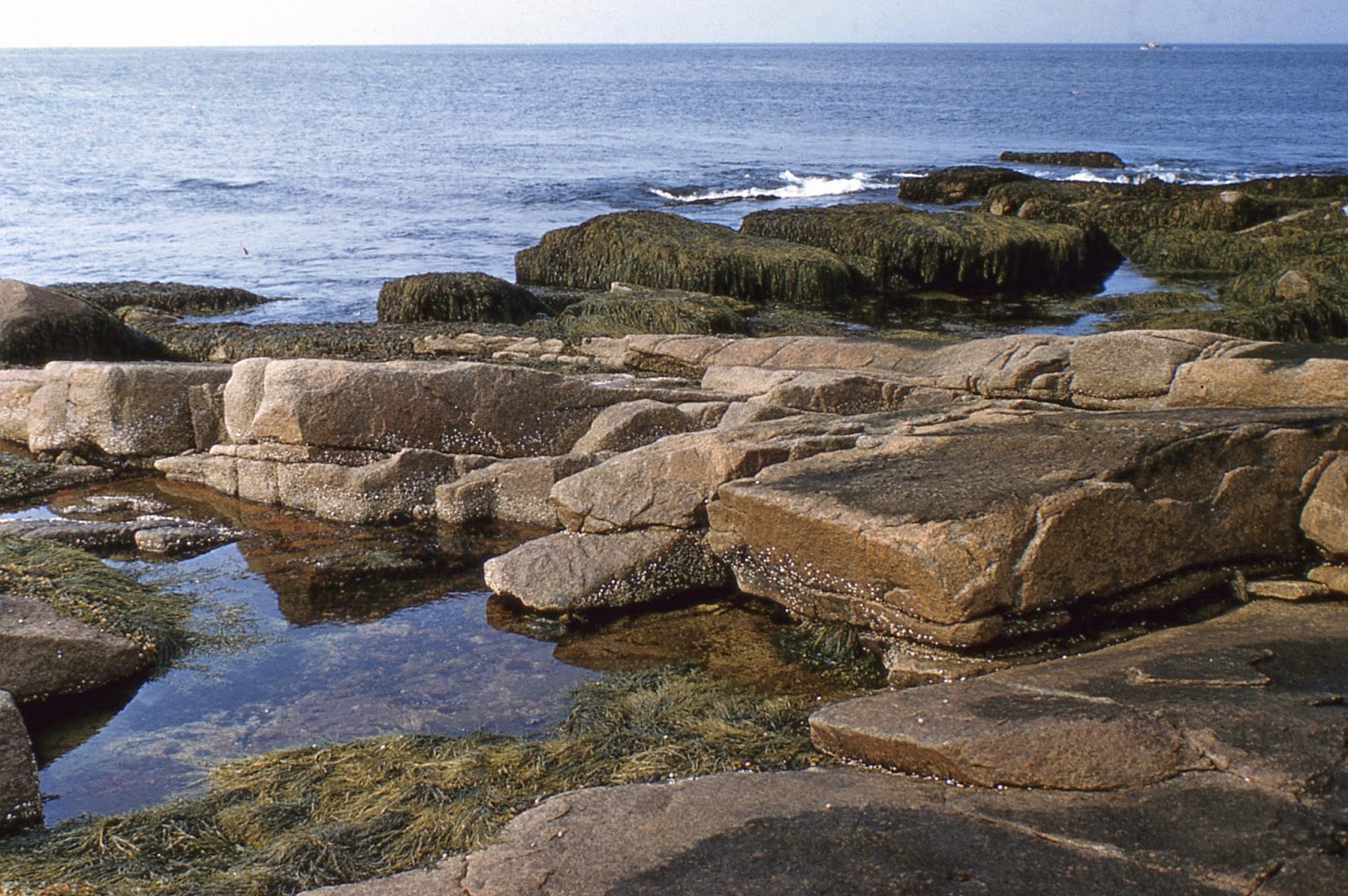 Notes from Halibut Point: Pitcairn Park, Part 3 - Halibut Point, 1958