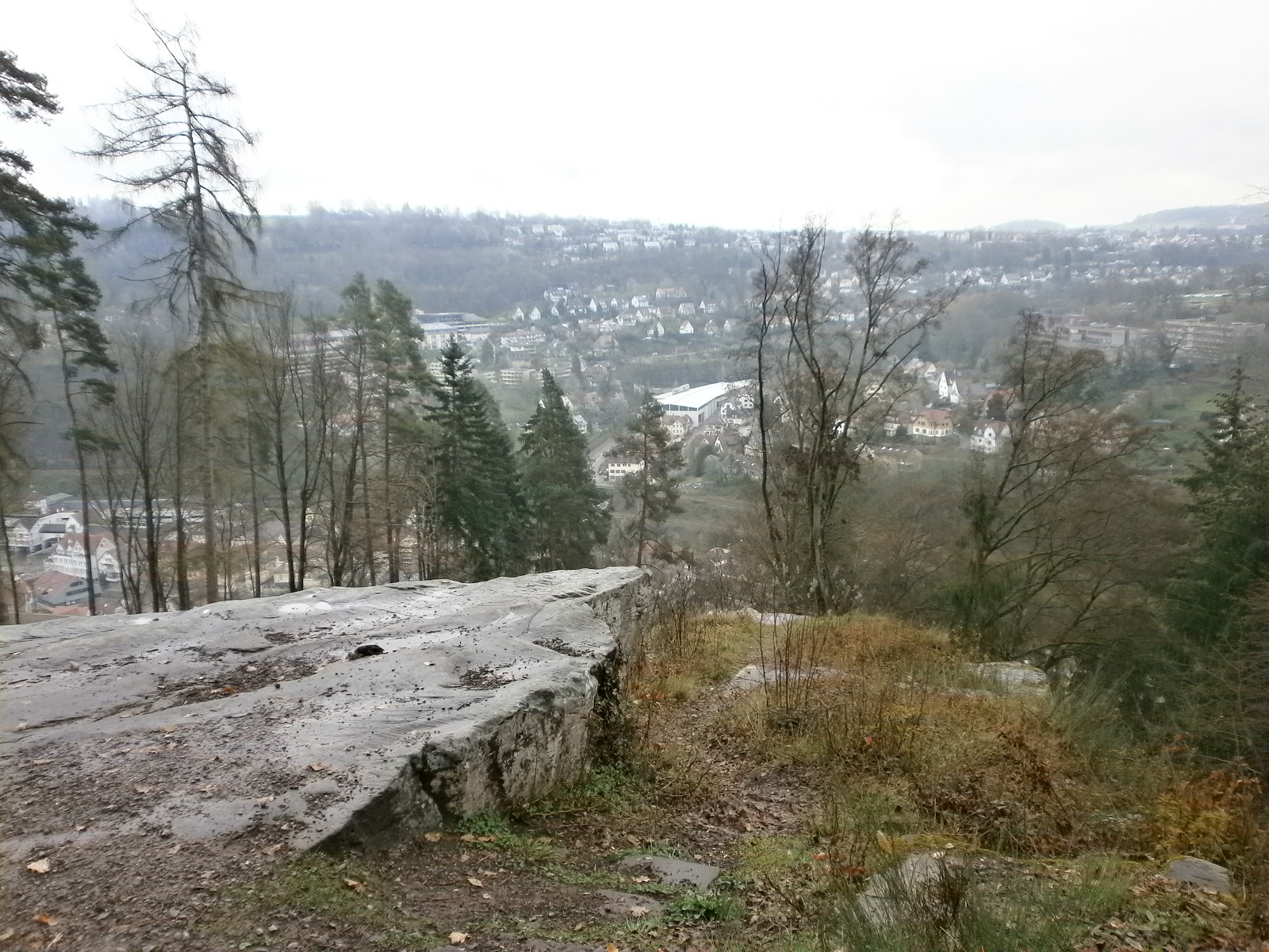 Der Schwarzwald und seine Natur: Die nördliche Runde des Premium ...