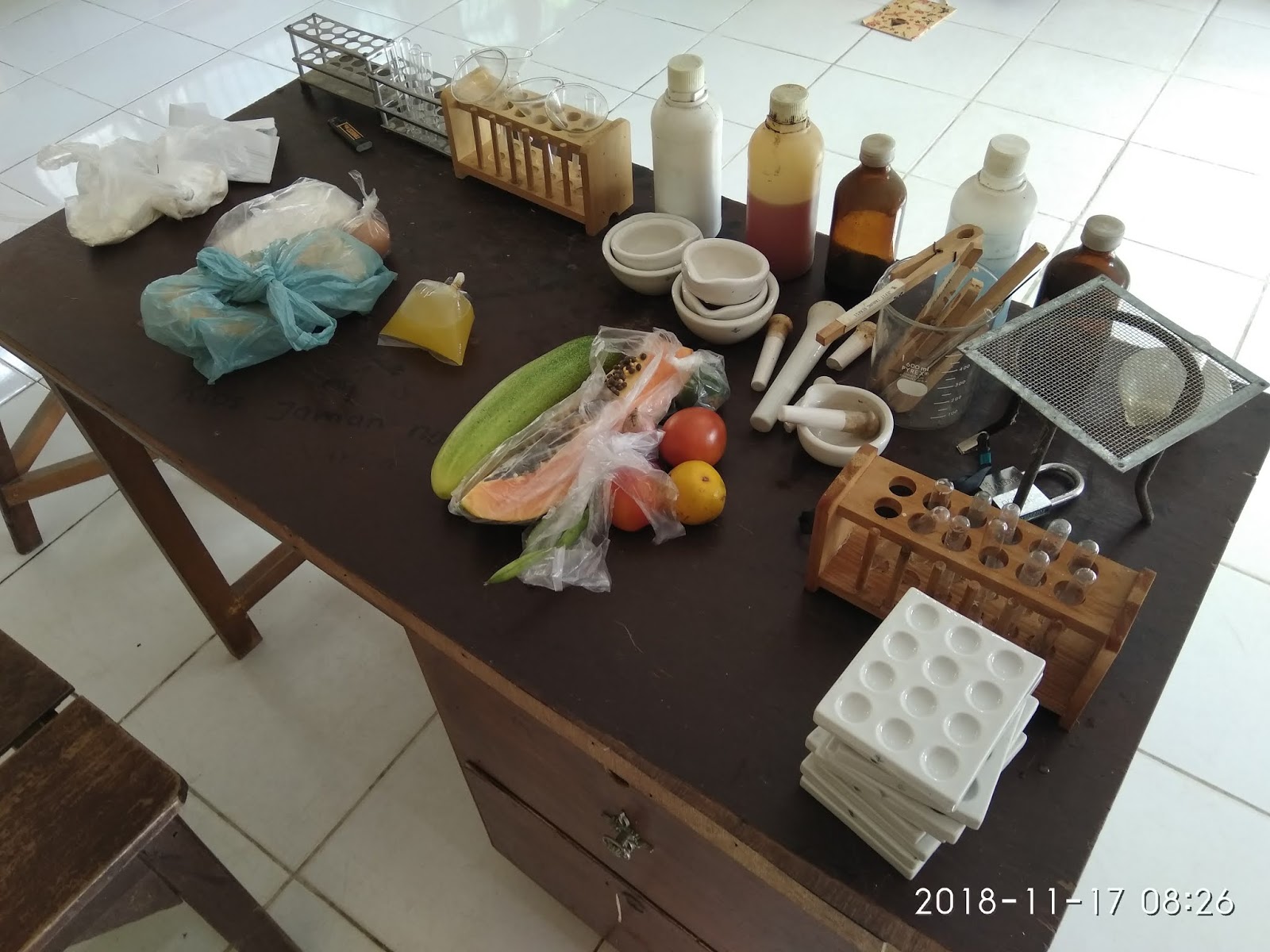 Praktikum Uji Kandungan Makanan - Kelas Biologi | Irfan Dani, S.Pd.,Gr