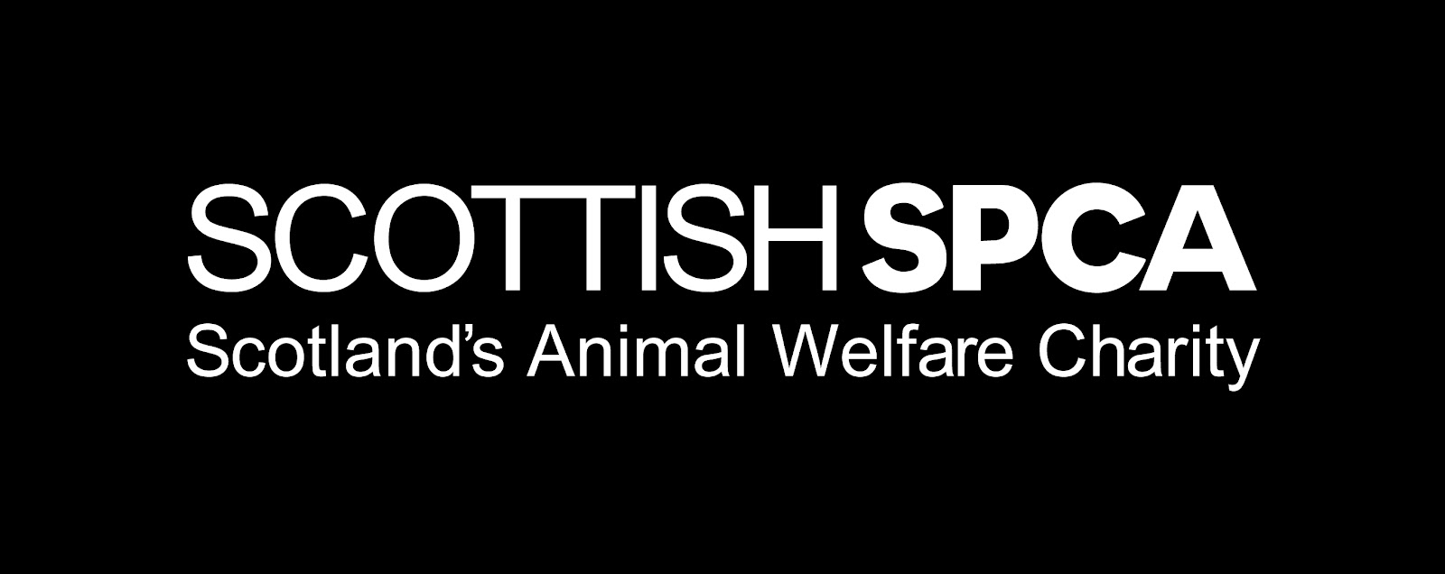 JMICAWE Activities: August 2012