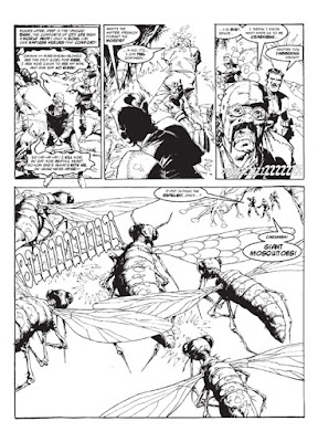 Bear Alley: Ant Wars