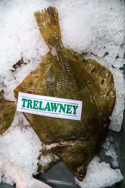 Through the Gaps! - Newlyn Fishing News: Buyers busy Wednesday in ...