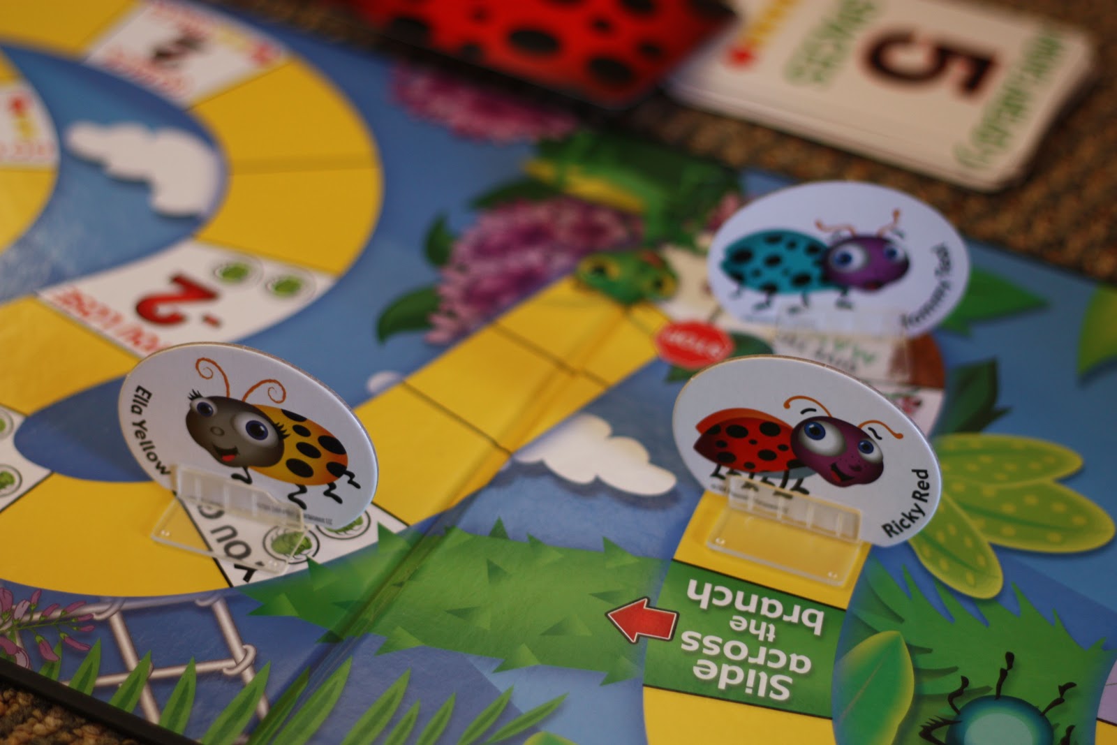 River Weaving: The Ladybug Game