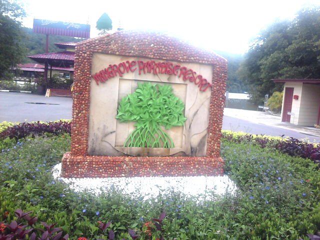 Brunei In A Glimpse: March 2011