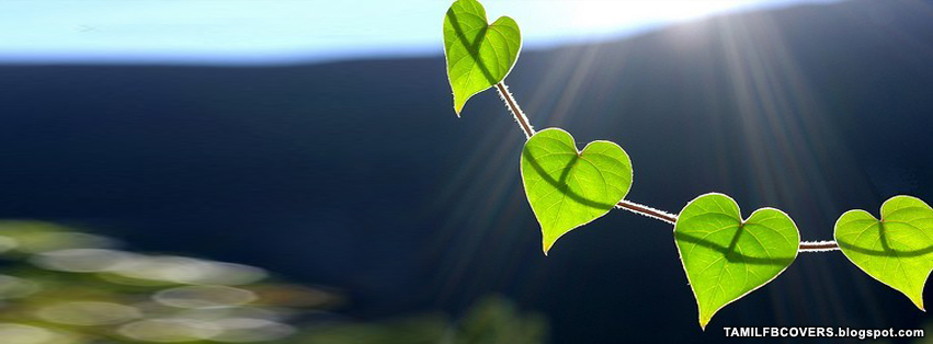 My India FB Covers: Heart leaf - Heart FB Cover