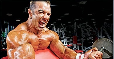 CONHECENDO O DOGGCRAPP TRAINING OU DCT – PARTE 2