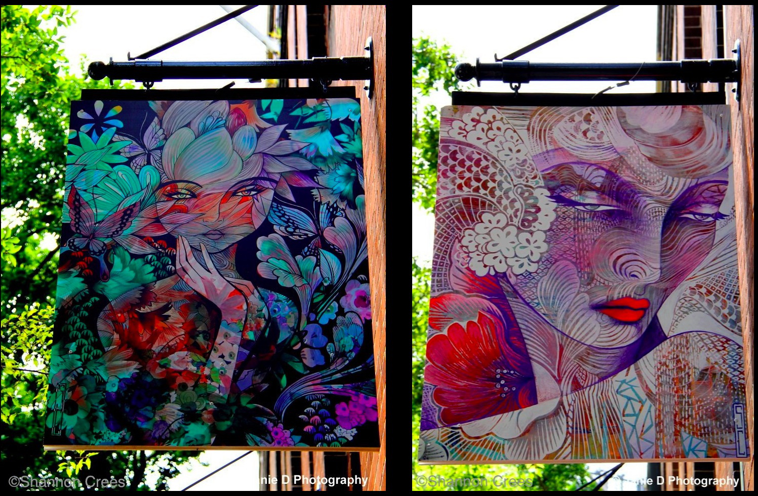 Street Art: 5 Questions with Shannon Crees