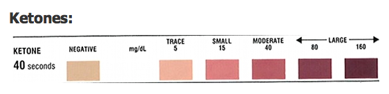 My Cancer Trail: The Waiting Game: Focus on Diet, Exercise, Elimination ...