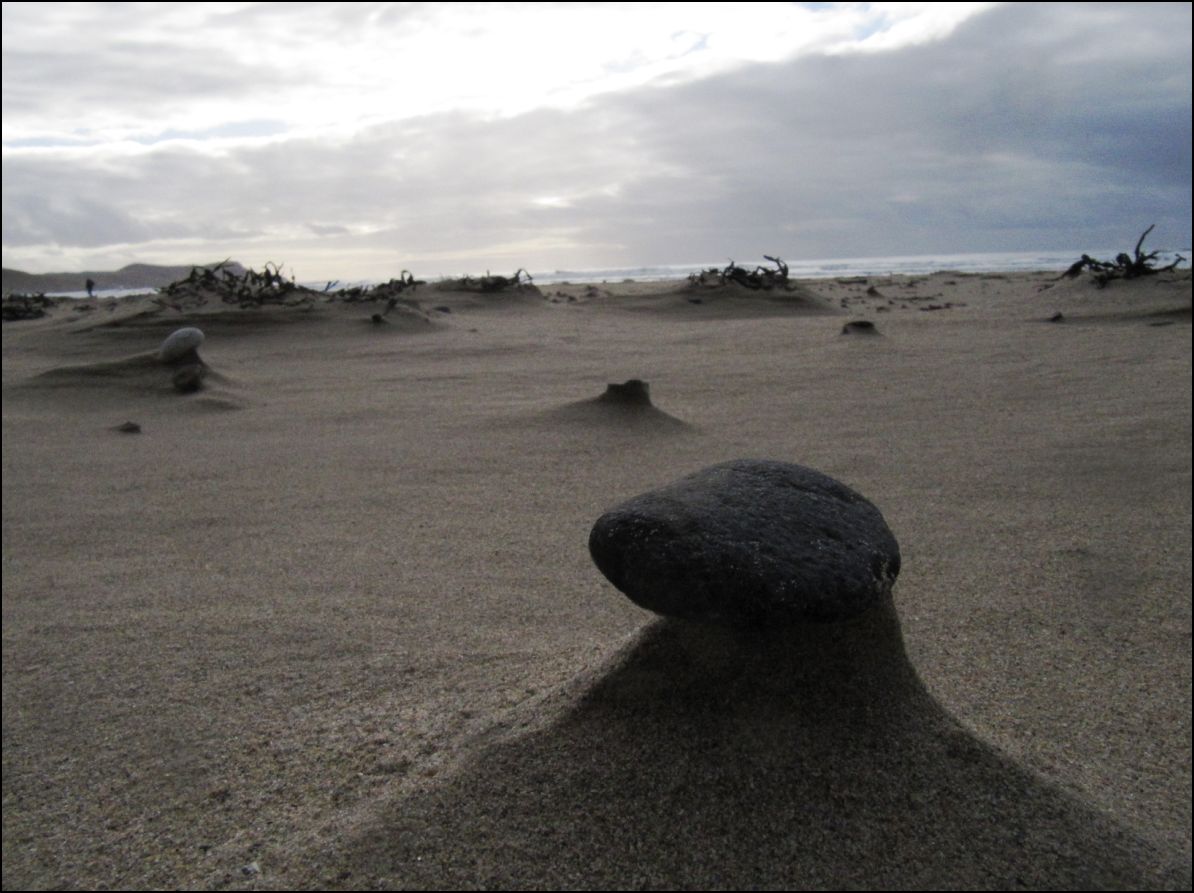 Islay Natural History Trust: Moving sand