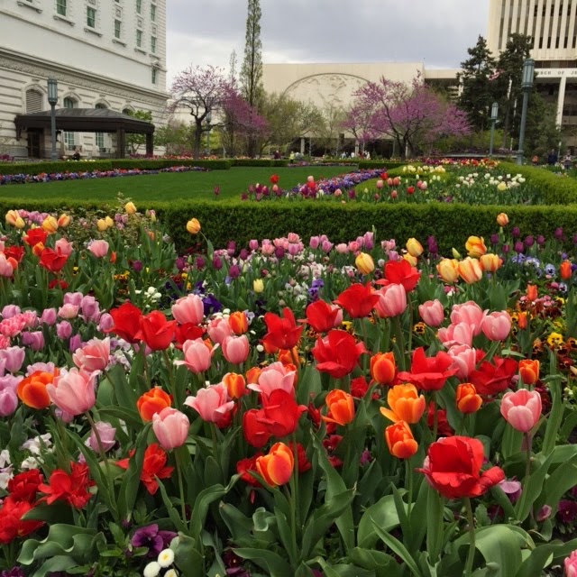 A Place to Share: Spring in Salt Lake City
