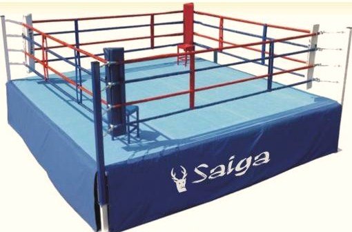 KICKBOXING: O Ringue