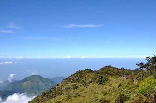 [OPEN TRIP] Pendakian Gunung Lawu 2016 ~ Pandu Alam Adventure