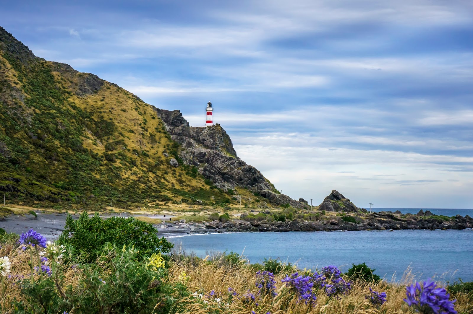 Adventuring New Zealand: Cape Palliser