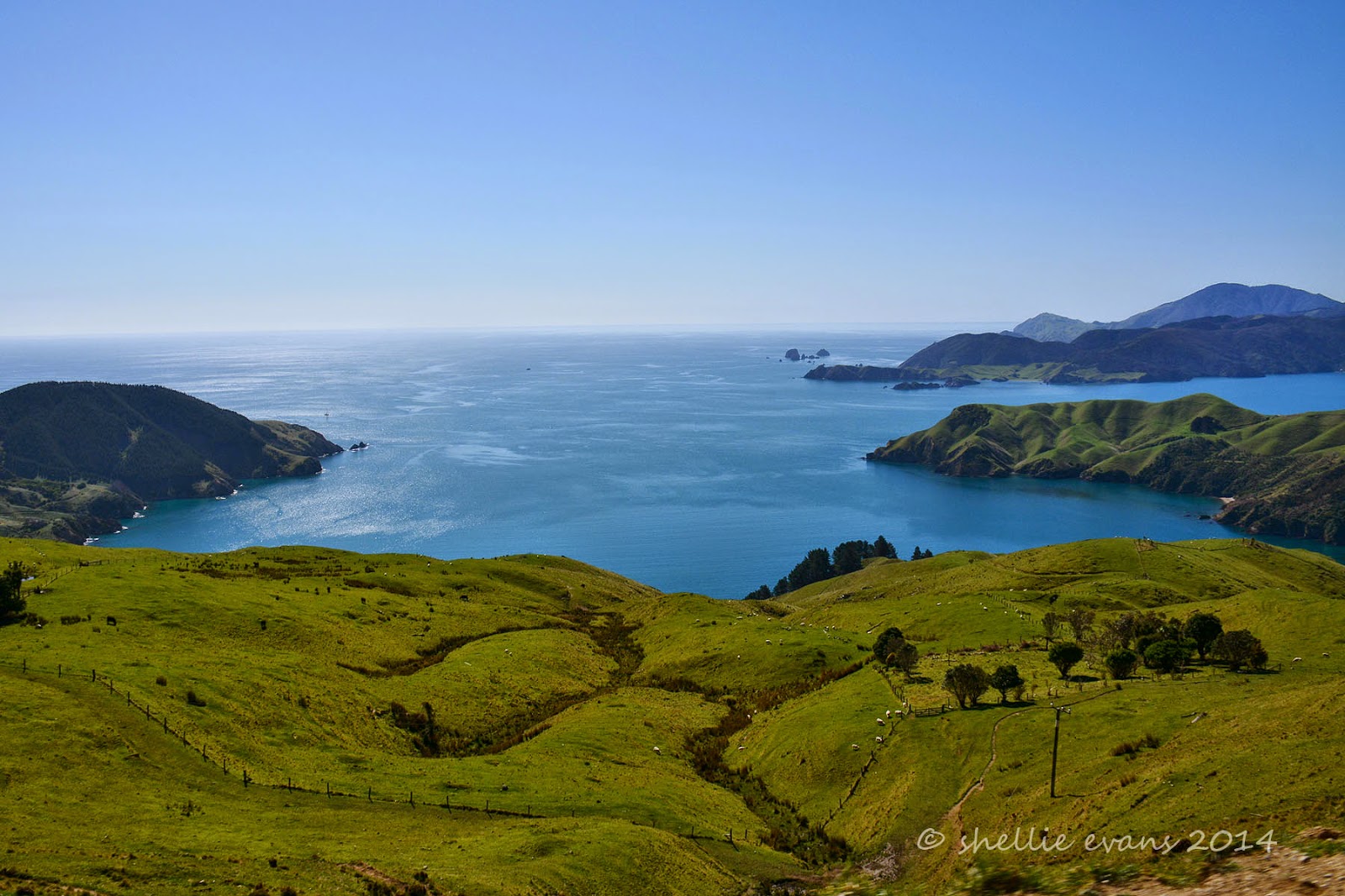 Two Go Tiki Touring: The Road to French Pass