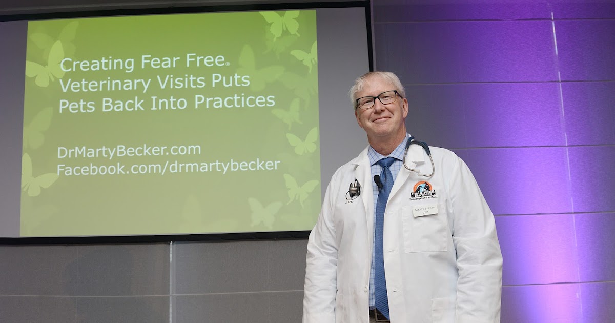 Small Animal Talk: Dr Marty Becker on Fear Free Vet Visits