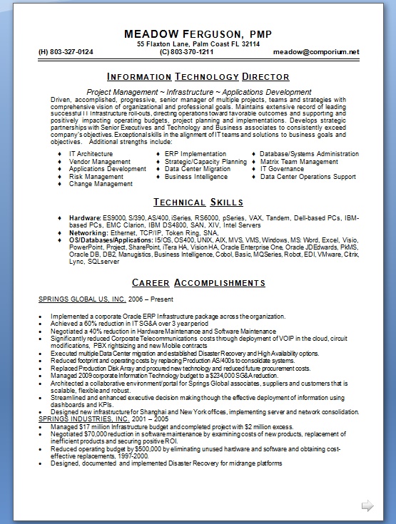 Director Information Technology Resume Latest Design in Word Format ...