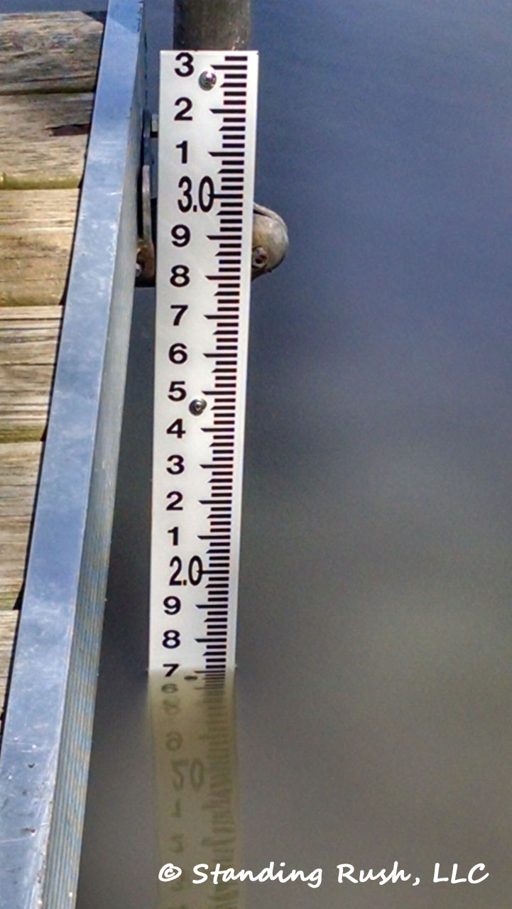 Moment in the Marsh: Rising Water Not Just About the Rain