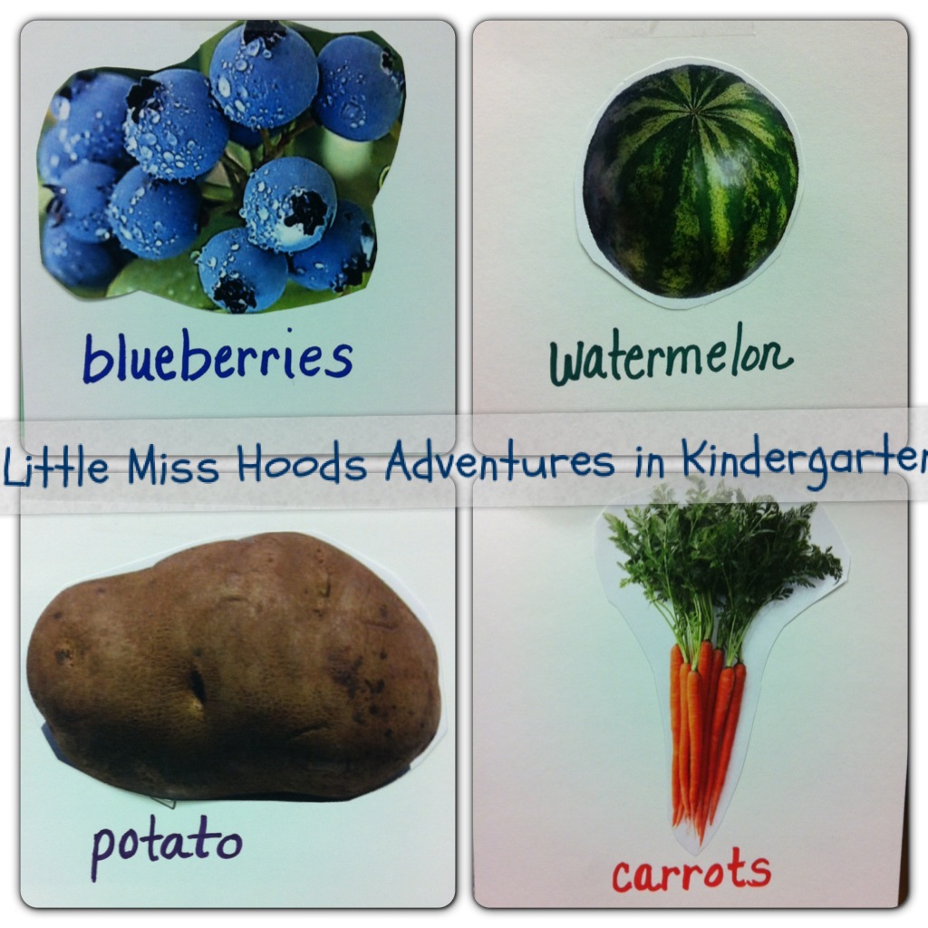 Little Miss Hood's Adventures in Kindergarten: Plants