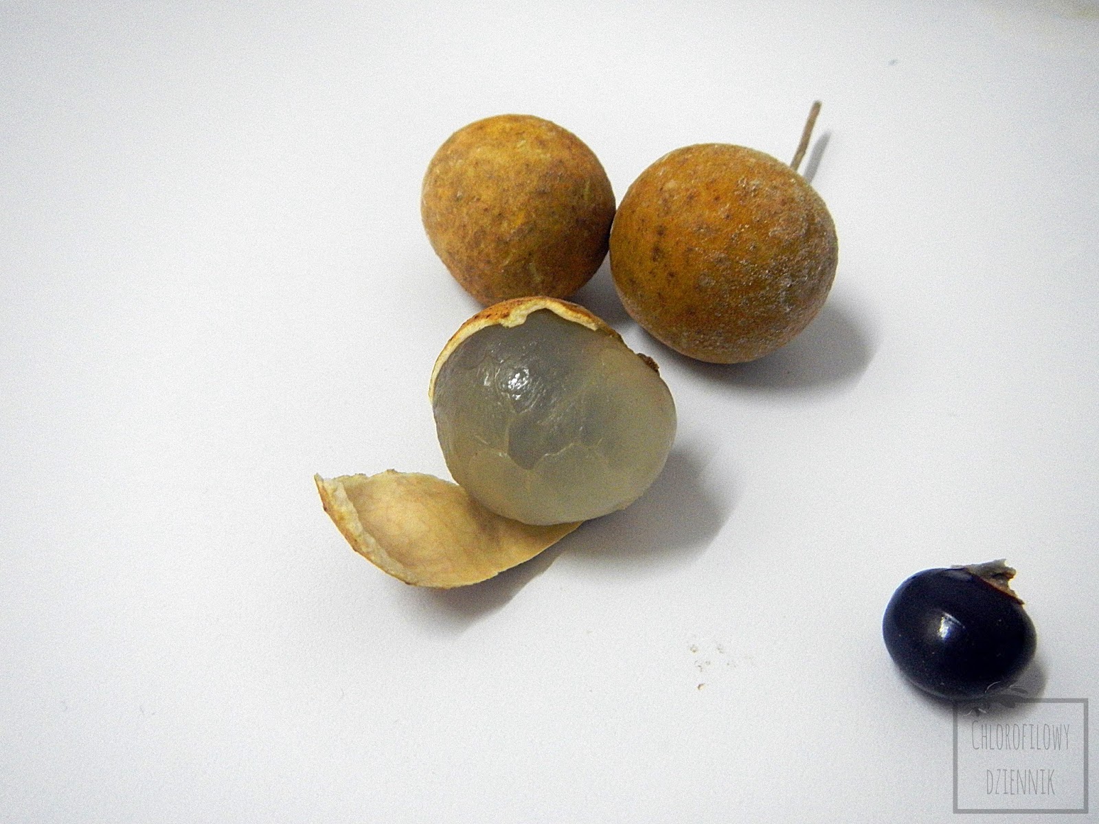 Longan - owoce