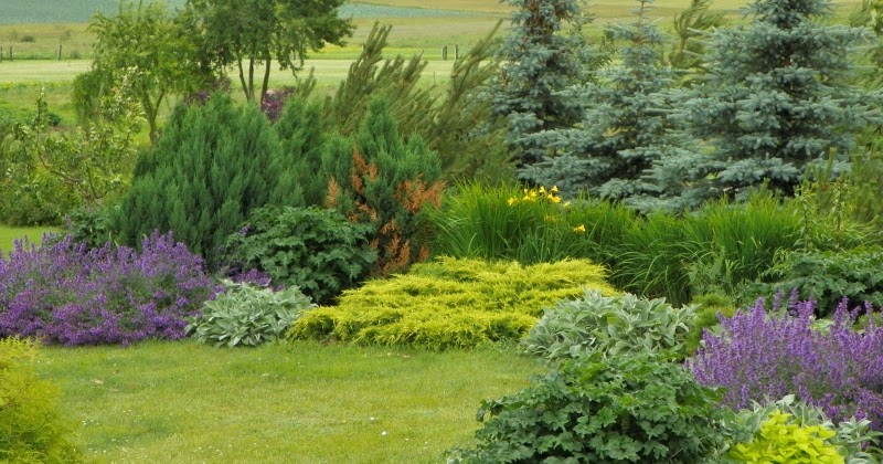 sodelis.lt: Laiko ženklai: geltonai - mėlynas gėlynas