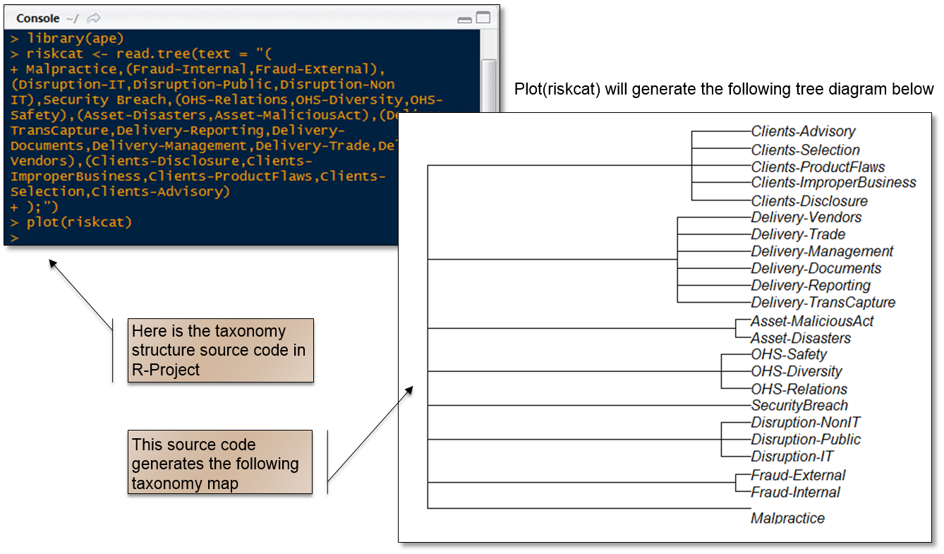 Causal Capital: Risk Taxonomies