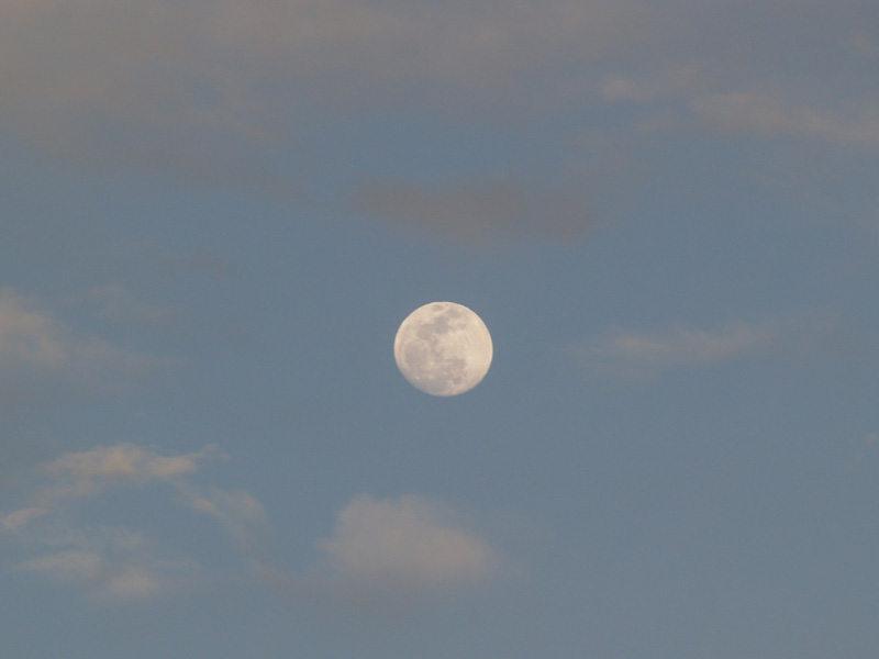 NASA has made an amazing video showing the Moon phases : r/videos