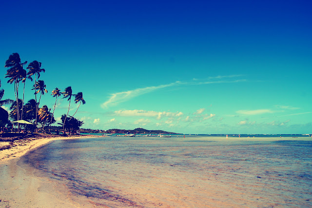 PETITS PARADIS: Pointe Faula (Le Vauclin, Martinique)