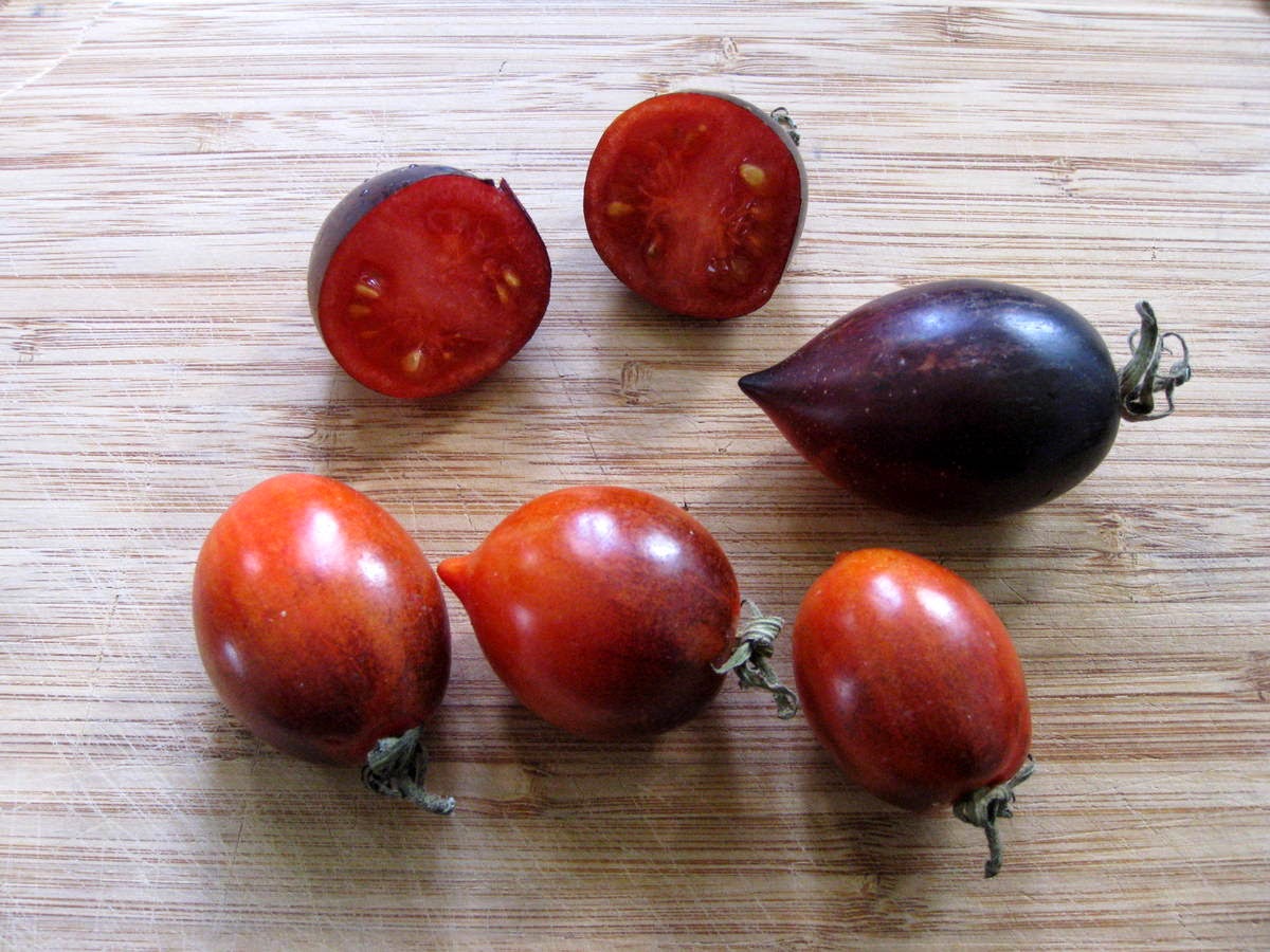 Mostly Tomato Mania: Shadow Boxing, bred by Tom Wagner