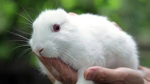 Mutants and Monsters