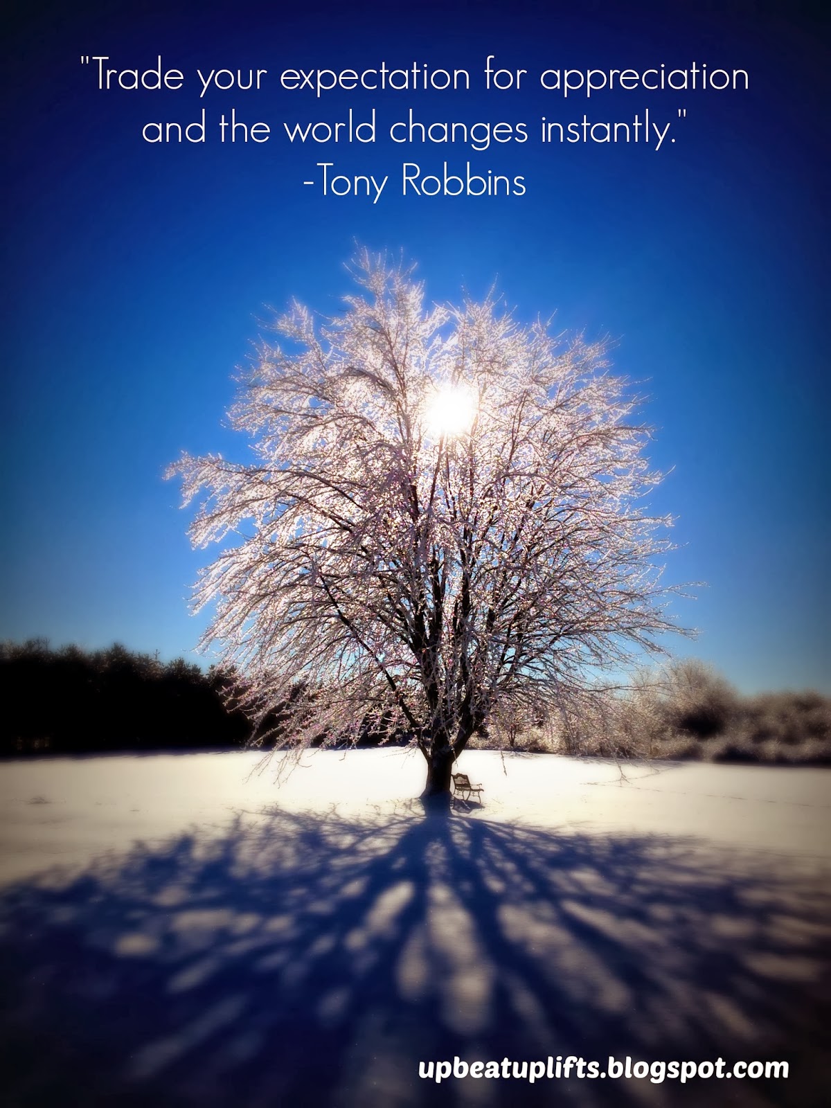 upbeat uplifts: Expectation vs. Appreciation