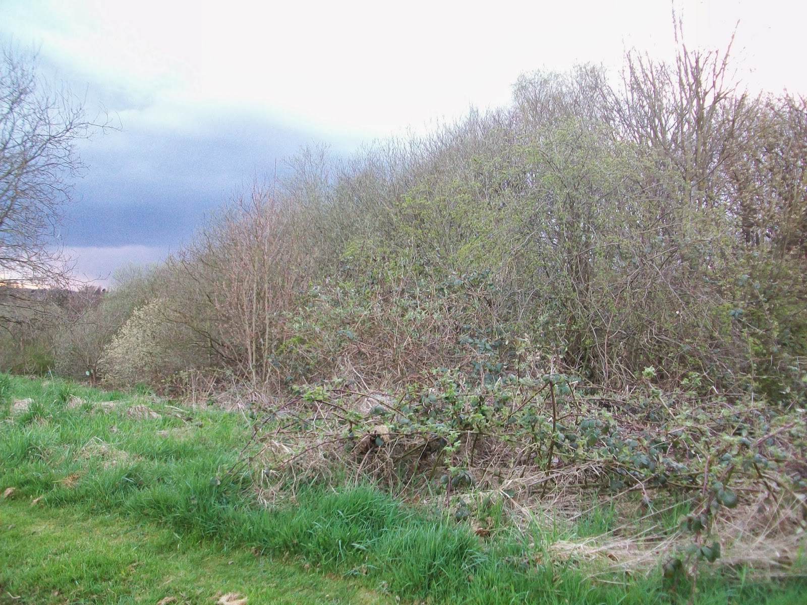 Keith Linnecor - News & Views from Oscott Ward: PERRY BEECHES ACADEMY ...