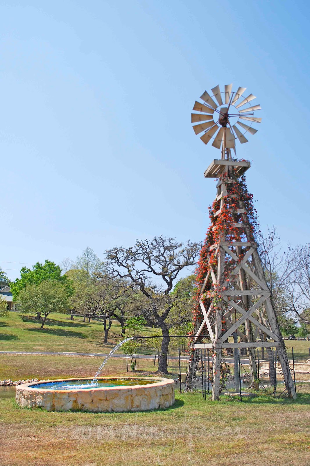 Wild About Texas: Bandera Windmill