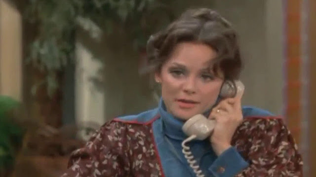 Whatever Happened To: The Cast Of "Rhoda” - #IHeartHollywood