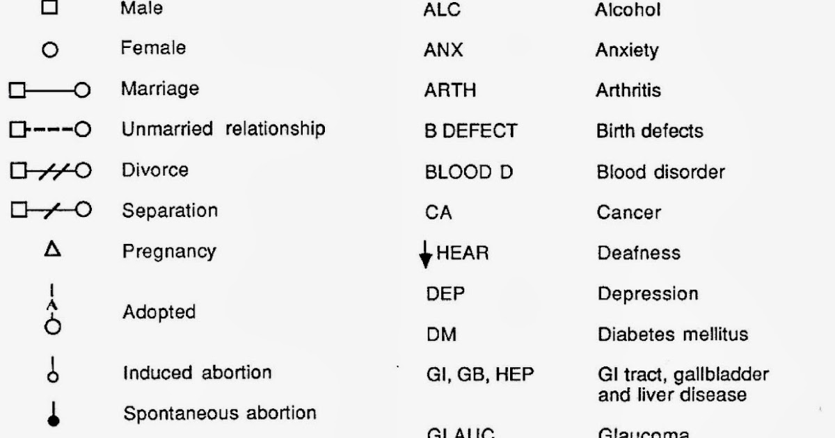 GENOGRAM (FAMILYANATOMY) ~ SIPAKATAU.COM