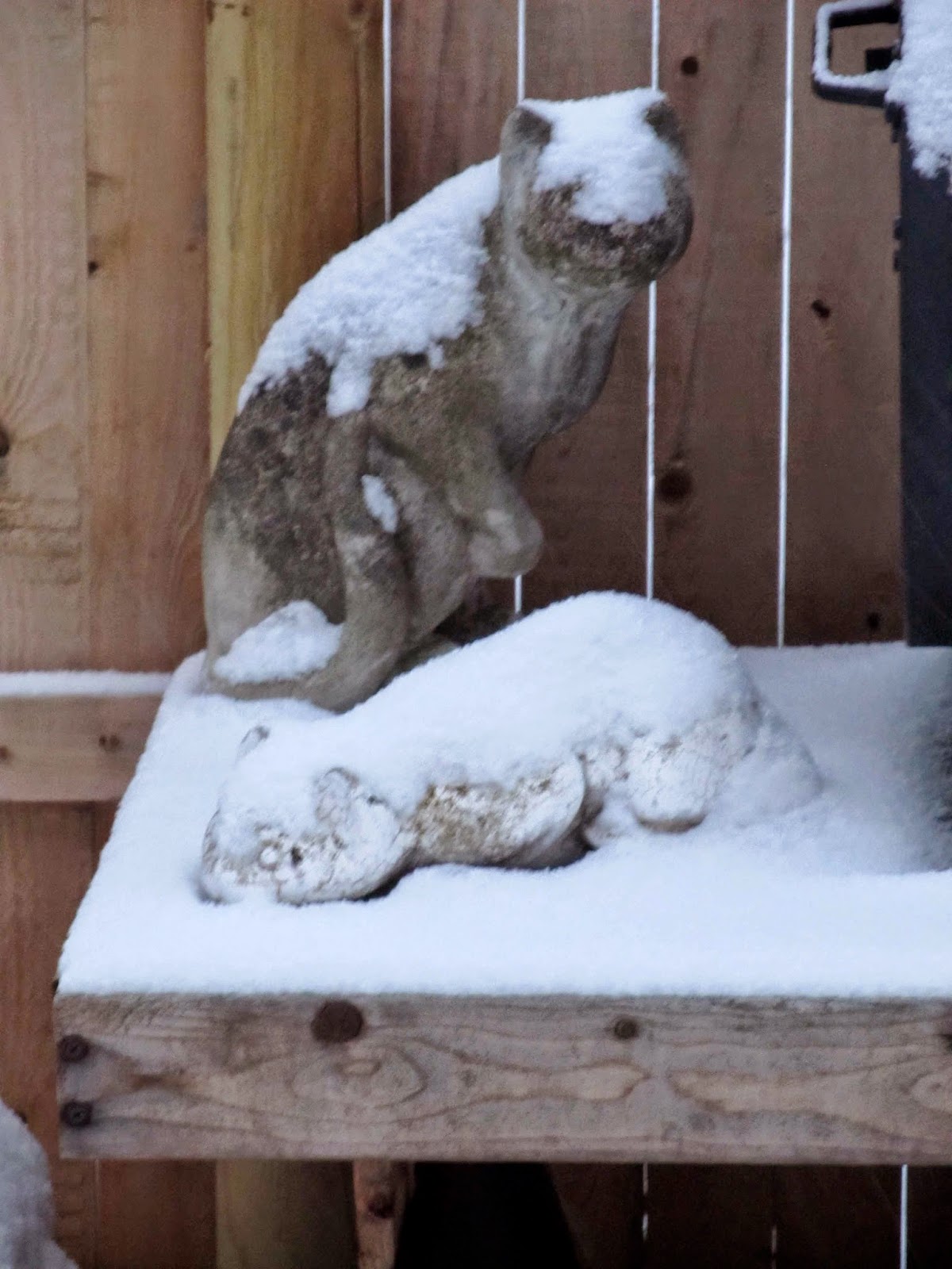 Tell Me a Story: Stone Cat