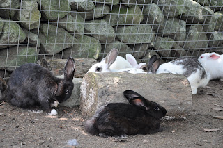 Sungai Siput Boy: Pekan Broga: Gigantic Monkey God at Sak dato Temple ...