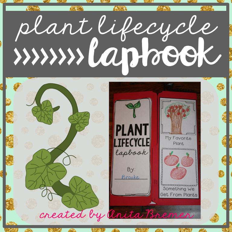 Plant Lifecycle Lapbook | Mrs. Bremer's Class