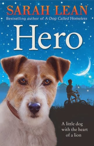 Honest Mummy Reviews : Review: Hero by Sarah Lean