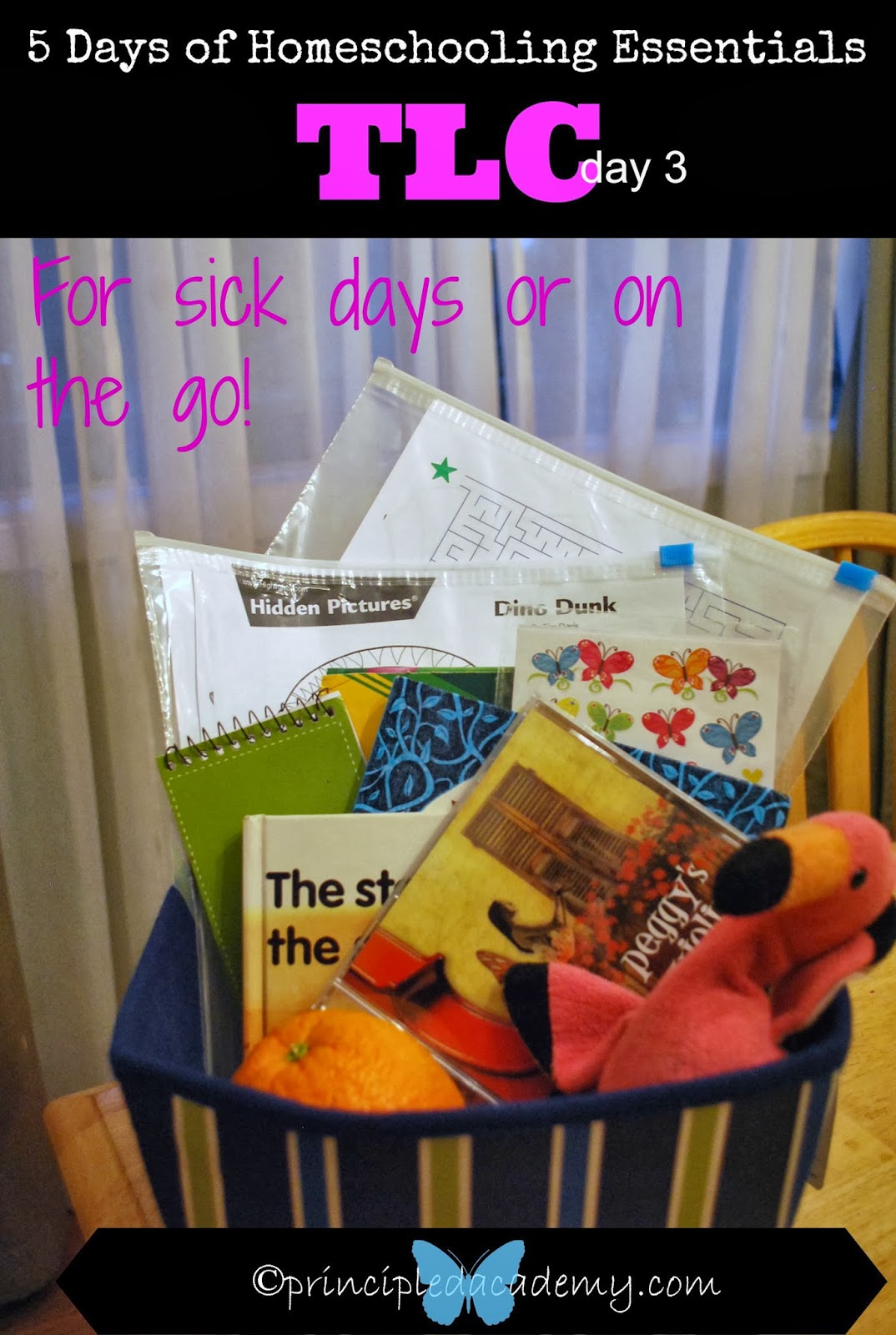 Principle Approach, Bible Principles: Essentials for Homeschooling- TLC Packs