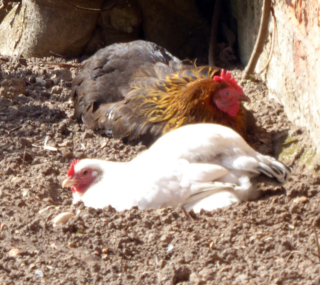 Wild and Wonderful: North Norfolk