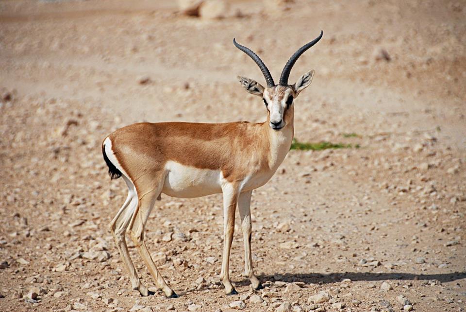 Natureza, Perfeição sem tamanho...