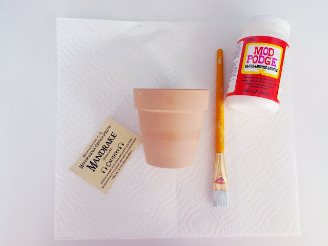 DIY Mini Potted Mandrake | Worthington Ave