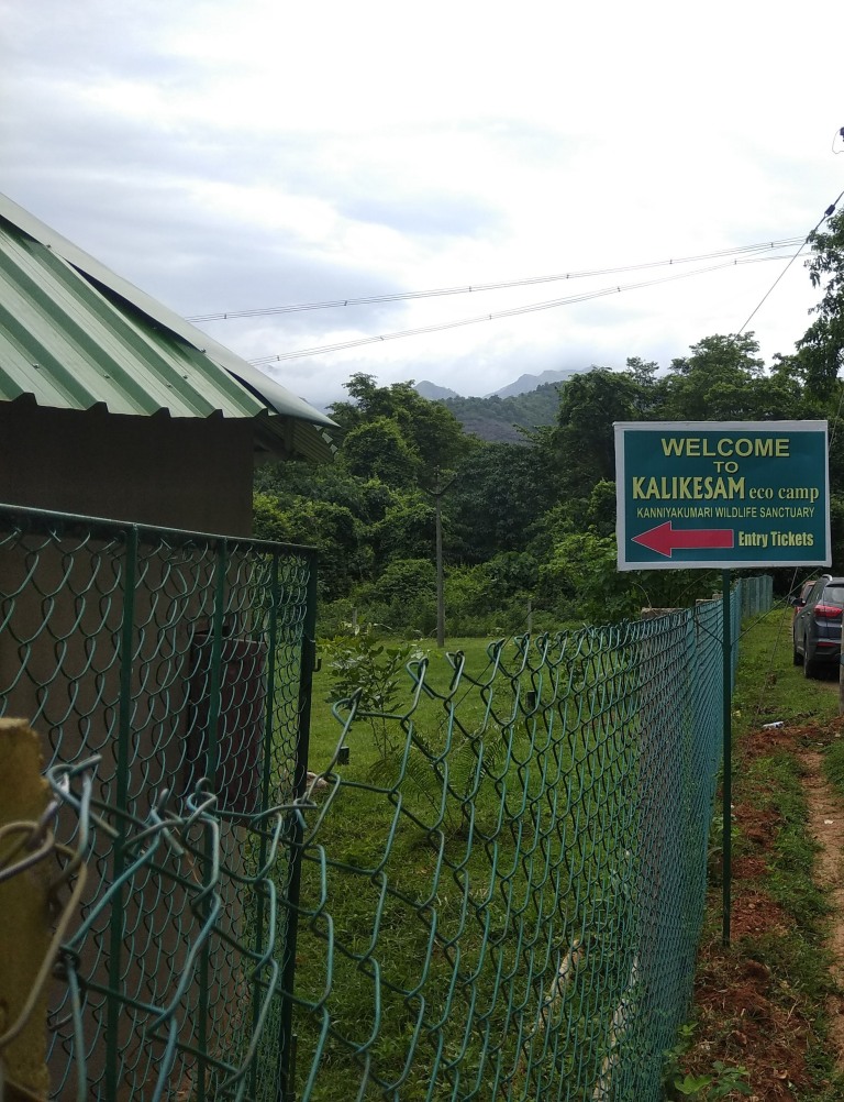 Tamilnadu Tourism: Kalikesam Forest & Waterfalls, Kanyakumari