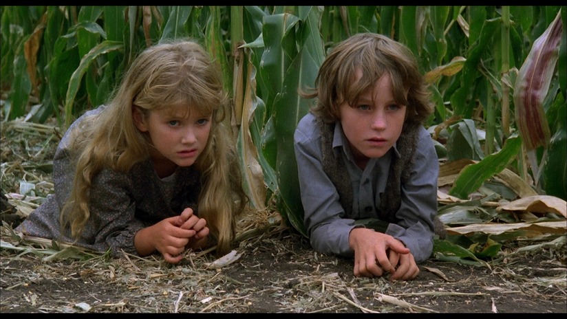 Fascination With Fear: Friday Flashback: Children Of The Corn (1984 ...