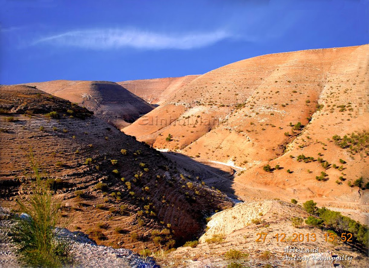 My Holy Land Trip: On the Way to Madaba
